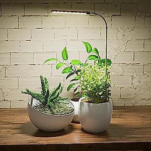 Juhefa Grow Light for Indoor Plants Growing, 6000K Full Spectrum Gooseneck Plant Lamp for Seedings Succulents Small Plants, 5 Dimming & 4/8/12/18H Timer (1 Pack)