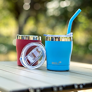 Mollcity Kids Cup with Straws and Lids- 9 oz Stainless Steel Double Wall Insulated Tumbler for Kids Spill Proof Smoothie Cup, BPA Free(Sky Blue)