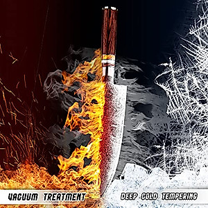 FANTECK Chef Knife 8 Inch, Japanese Damascus Kitchen Knife, VG10 67 Layer High Carbon Stainless Steel Professional Sharp Chef’s Knife,Pakkawood Handle,Gift box,Plastic sheath& Sharpener