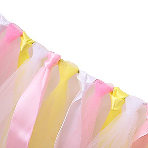 One Person in The Lemon Banner- 1st Birthday High Chair Banner, Smashed Cake, Photo Background Props, Piece Skirt (Lemon Banner)