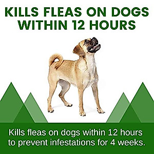 Adventure Plus Flea Prevention for Dogs, Topical Flea Treatment and Control (Pack of 8, Small (3-10 lb))