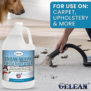SNOW WHITE Carpet Cleaner Rug Extracting Shampoo, MADE IN USA, Carpet Cleaner Solution and Machine Use, Removes Even The Toughest Stains and odors, Rug Car Upholstery and Carpets, 1 Gallon