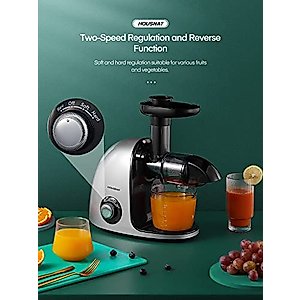 Slow Juicer Machines, HOUSNAT Cold Press Juicer Extractor for Fruits & Vegetables Easy to Clean, 2-Speed Mode with Quiet Motor & Reverse Function, Slow Masticating Juicer with Recipe (Silver Gray)
