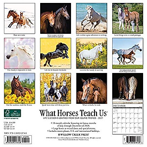 What Horses Teach Us 2021 Wall Calendar