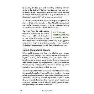 Break the Mold: 5 Tools to Conquer Mold and Take Back Your Health