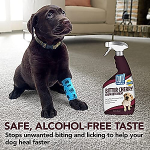 OUT! PetCare Bitter Cherry Chew Deterrent | Deterrent for Puppy Training to Discourage Licking and Chewing | 32 oz