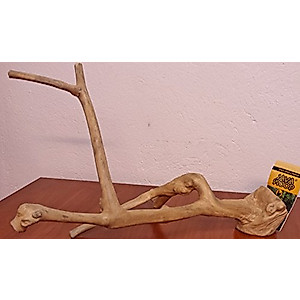 A&E Cage Medium Multi-Branch ? 22? x 1.6? Java Wood