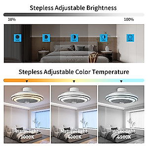 XuanDe Ceiling Fans with Lights and Remote Quiet, 20" Enclosed Ceiling Fans Modern Low Profile DC Motor 6 Gear Wind Speeds 3 Colors of Lights-Silver