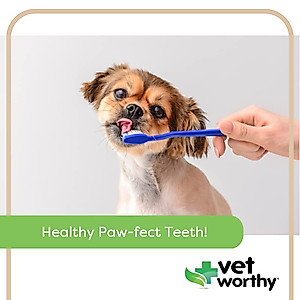 Vet Worthy Peanut Butter Enzymatic Toothpaste for Dogs - For Clean, Healthy Teeth and Gums - Freshen Dogs Breath - Peanut Butter Flavor - Made in the USA - Start Your Dog’s Dental Routine Today - 3oz