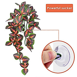 KATUMO Reptile Plants, 3 PCS Amphibian Hanging Plants with Suction Cup for Snake, Bearded Dragons, Lizards, Geckos, Toads, Hermit Crab Tank Pets Habitat Decorations