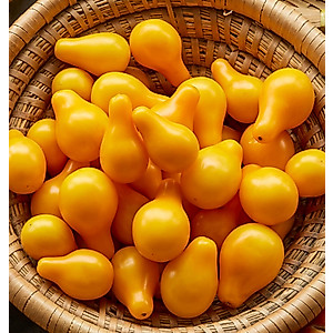 Burpee 'Yellow Pear' Heirloom, Yellow Pear Tomato, 150 Non-GMO Seeds