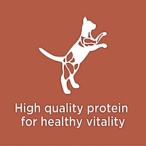IAMS PROACTIVE HEALTH High Protein Adult Dry Cat Food with Chicken & Salmon Cat Kibble, 13 lb. Bag