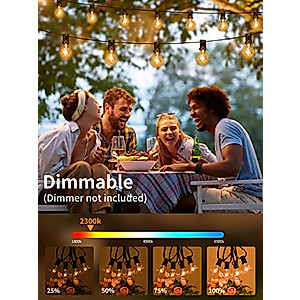 AVANLO Outdoor String Lights 100FT 2-Pack, Dimmable G40 Globe Patio String Lights with 54 Edison Bulbs Waterproof Hanging Outside Lights for Patio Backyard Bistro Wedding Cafe Party Christmas Decor