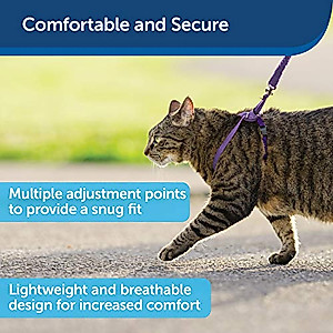 PetSafe Come With Me Kitty Harness and Bungee Leash, Harness for Cats, Large, Lilac/Bright Purple