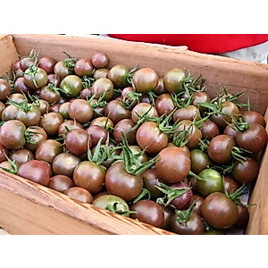 30+ Chocolate Cherry Heirloom Tomato Seeds- by Ohio Heirloom Seeds