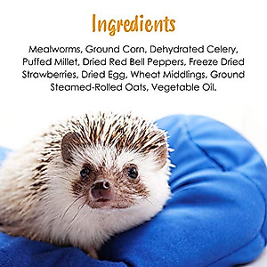 Sunseed Vita Prima Wigglers & Berries Hedgehog Treat - Mealworms for Hedgehogs - Small Animal Trail Mix Snack