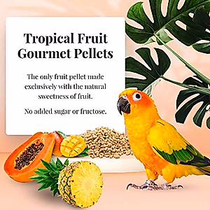 LAFEBER'S Tropical Fruit Gourmet Pellets Pet Bird Food, No Added Sugar, Made with Non-GMO and Human-Grade Ingredients, for Conures, 4 lb
