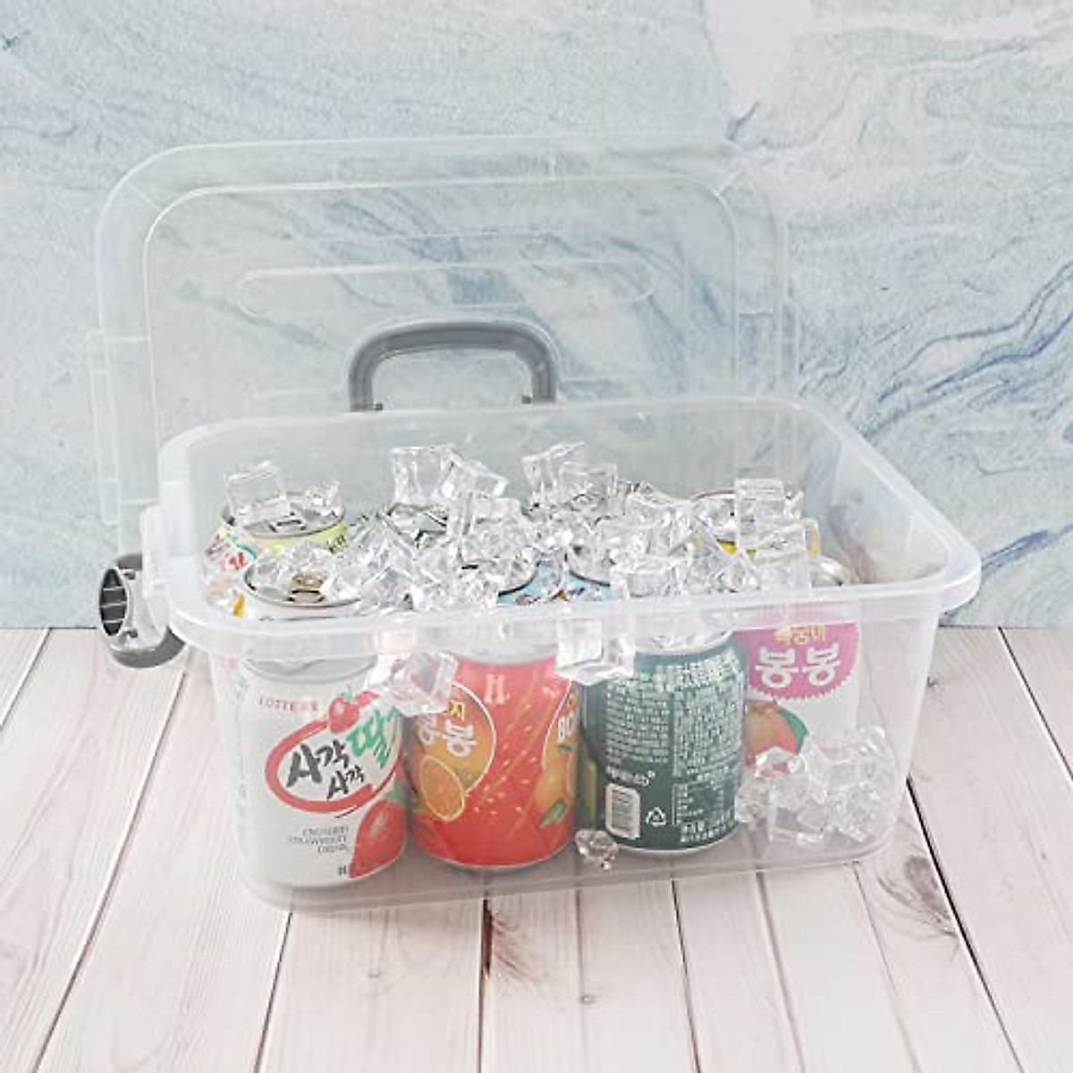 Hommp 8 L Clear Plastic Storage Box, Plastic Latching Box with Lid, 2-Pack