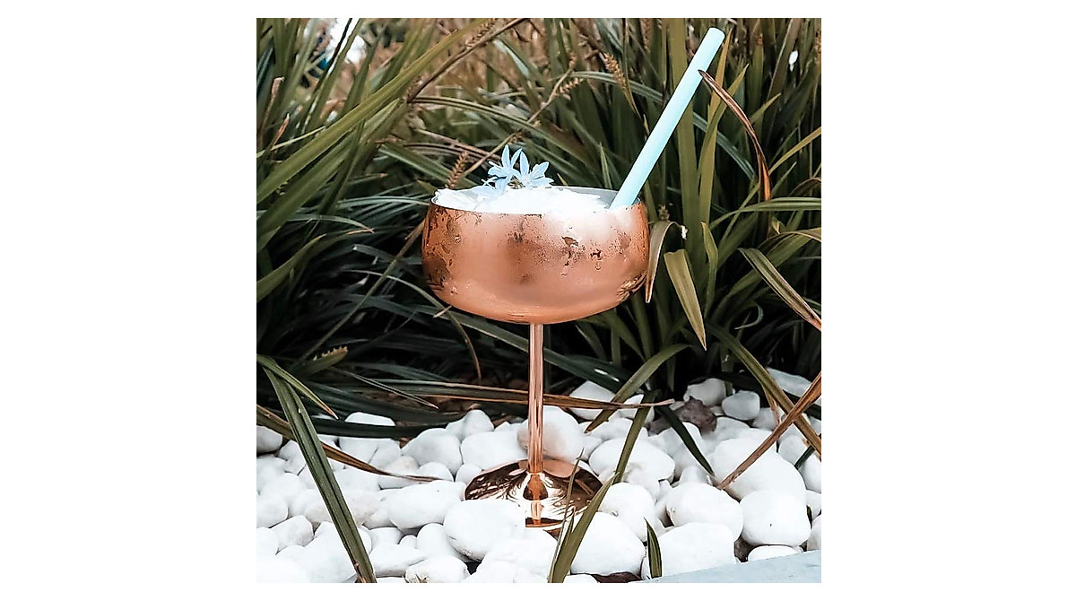 WSNM Copper Coupe Glasses - Vintage Set of 2