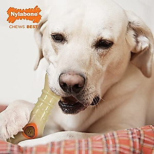 Nylabone Pop-In Dog Treat Refills for Treat Toy Combo Chicken Medium/Wolf (30 Count)