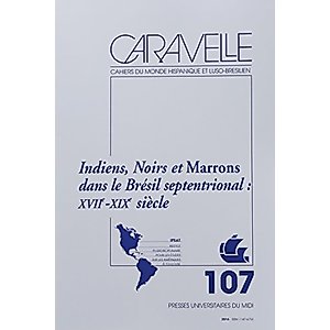 Indiens, noirs et marrons au brésil : XVIie-XIXe siècle: (REVUE CARAVELLE N° 107)