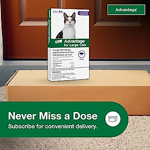 Advantage Topical Cat Flea Treatment and Prevention for Large Cats Over 9 lbs. | Apply Flea Drops Monthly | 2 Treatments