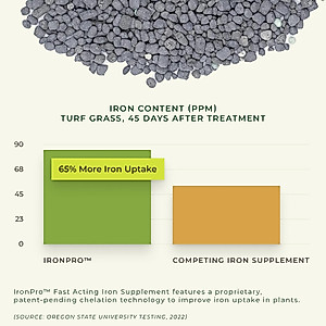 Iron Pro Fast Acting Supplement 5lb Earth Science – Iron Pro Fast Acting Iron Supplement for Use on Lawns, Flowers, and Vegetables with All Soil Types – Easy Application – Covers up to 1k Square Feet