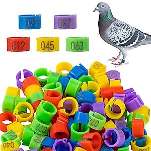 MEWTOGO 8mm 100 Pcs Bird Pigeons Leg Rings - Colorful Readable Numbered Bird Identification Leg Bands, Durable Poultry Leg Bands Clip on Leg Rings for Bantam Finch Dove Lovebird Coturnix Quail