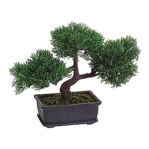 Bonsai Boy Artificial Japanese Cedar Bonsai Tree