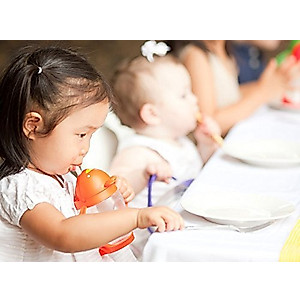 Lollaland Weighted Straw Sippy Cup for Baby: Lollacup - Transition Kids, Infant & Toddler Sippy Cup (6 months - 9 months) | Shark Tank Products | Lollacup (Orange)