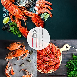 Nut Crackers Walnut Cracker Heavy Duty Shell Cracker Seafood Cracker Walnut Opener Tool with with Red Non-slip Handle, with 2 Pcs Forks/Picks