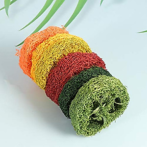 POPETPOP 6Pcs Hamster Molar Toys - Small Animall Toys Colorful Loofah Pet Tooth Cleaning Toy, Dog Cat Chinchillas Small Animal Chew Toys Random Colar