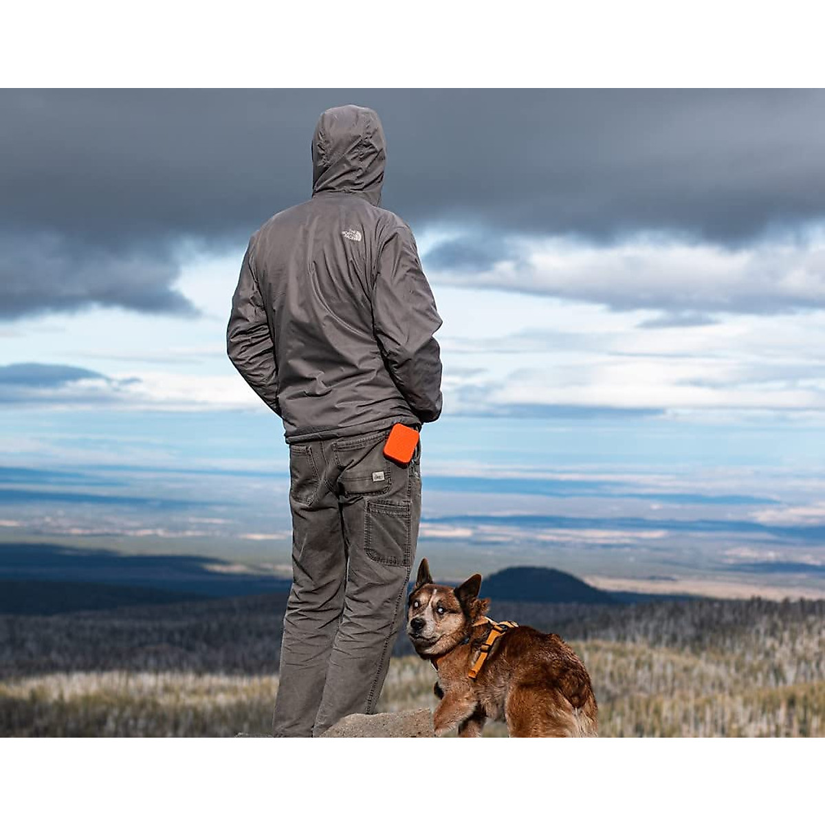 Outlery | Collapsible, Reusable Straw for Travel and Day Trips Stainless Steel Metal Straw Bundle with Silicone Pouch for Outlery Travel Cutlery (Yellow) - a Silicone Pocket to Protect