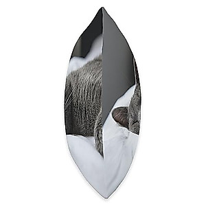 Cat Breeds Gifts Russian Blue Cat Throw Pillow, 16x16, Multicolor