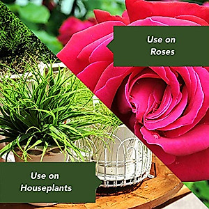 BioAdvanced All-in-One Rose and Flower Spray For Insects, Concentrate, 32 oz