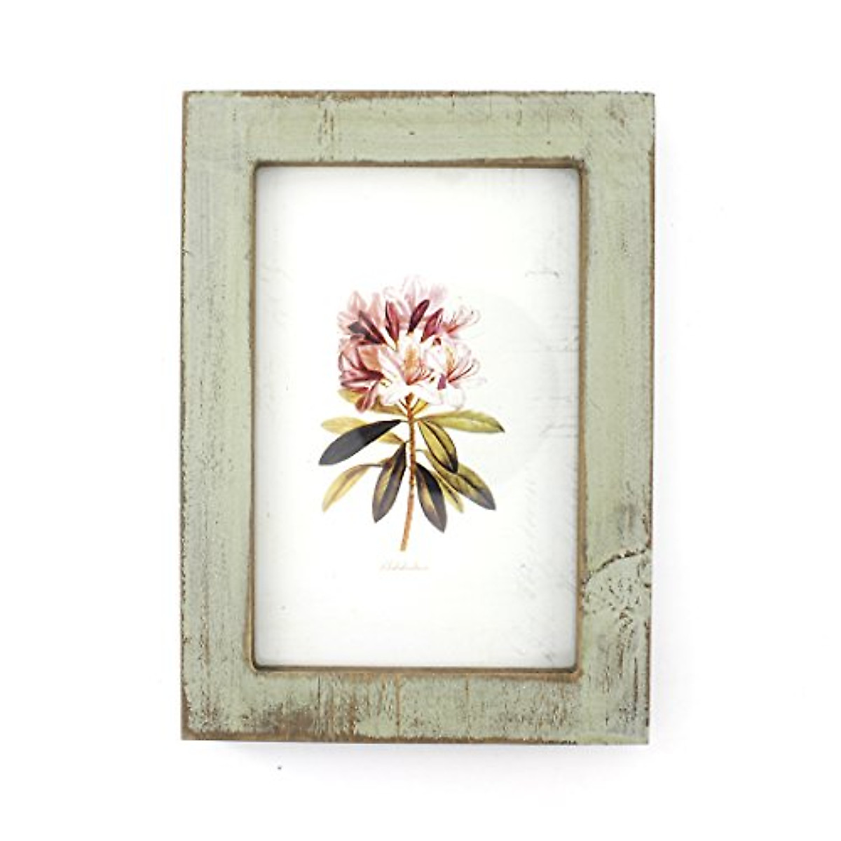 Zhenzan Frames 4x6 Inches Simple Rectangular Desktop Family Picture Photo Frame with Glass Front (Green)