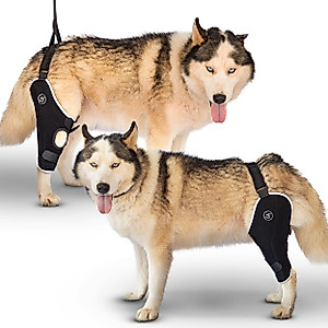 LA KALBA Dog Knee Brace for Torn Acl Hind Leg - Neoprene Dog Leg Braces for Back Leg with Aluminium Splints, ACL Knee Brace for Dogs with Reflective Trims (Left Leg - Small)