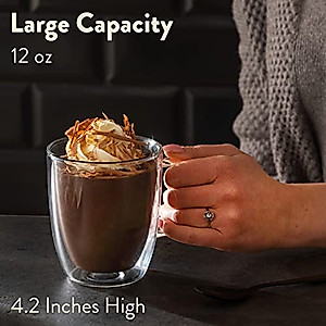 JOYFUL HOME Double Wall Glass Coffee Mugs - 12 oz. Insulated Double Walled, Smoky Gray Borosilicate Glass with Large Handle for Coffee, Cocoa and Tea (Set of 2)