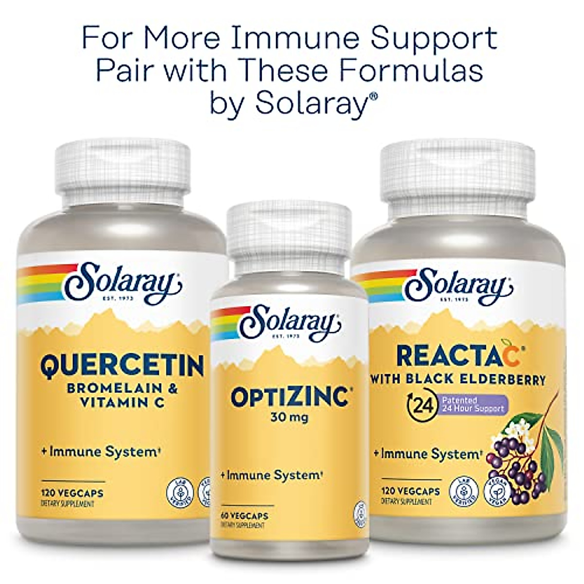 SOLARAY L-Lysine Monolaurin Immune Support Supplement, 1:1 Ratio for Immune System Function, Skin and Gut Health Support, 500 mg Each, 60-Day Money Back Guarantee, 30 Servings, 60 VegCaps