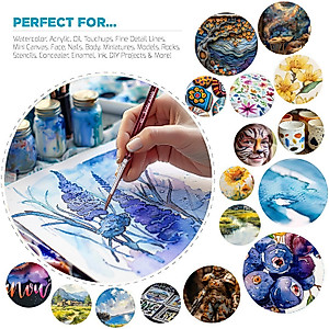 Professional Sable Hair Detail Paint Brush Set - 6 Miniature Art Brushes for Fine Detailing & Art Painting - Acrylic, Watercolor, Oil - Miniatures, Models.