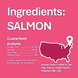 Whole Life Pet Just One Salmon - Cat Treat Or Topper - Human Grade, Freeze Dried, One Ingredient - Protein Rich, Grain Free, Made in The USA