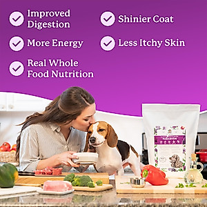 Dr. Harvey's Paradigm Green Superfood Dog Food, Human Grade Dehydrated Grain Free Base Mix for Dogs, Diabetic Low Carb Ketogenic Diet (6 Pounds)