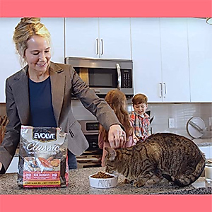 Evolve Classic Deboned Salmon, Rice and Sweet Potato Recipe Cat Food, 2.75lb