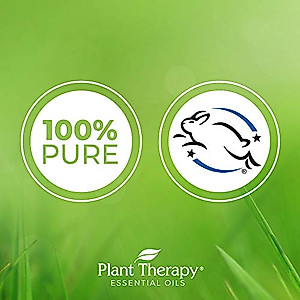 Plant Therapy Oregano Essential Oil 100% Pure, Undiluted, Natural Aromatherapy, Therapeutic Grade 10 mL (1/3 oz)