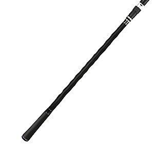 Berrypro Surf Spinning Rod Surf Casting Fishing Rod Carbon Fiber Travel Fishing Rod (9'/10'/10'6''/11'/12'/13'3'') (12'-Spinning 2-Piece)