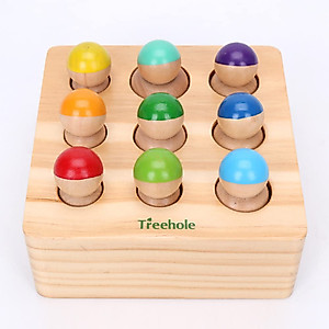 Xylolin Montessori Toys for Toddlers, Wooden Rainbow Peg Dolls Shapes Sorting Toys, 9 Wood People Figures Cylinder Blocks, Preschool Learning Educational Toys Pretend Play for Kids