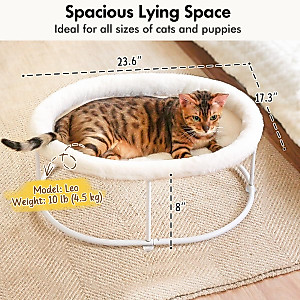 Zoratoo Elevated Cat Hammock Bed for Indoor Cats, Fluffy Warm Cuddle Cat Bed with Detachable Pad Bed Cover, Raised Pet Bed Cuddler for Sleeping Kittens, Small Dog, Oval Cat Hammock
