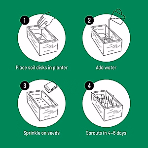The Cat Ladies Cat Grass Kit (Organic) Complete with Rustic Wood Planter, Seed and Soil. Easy to Grow.