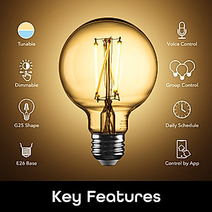 Geeni LUX Amber G25 Edison WiFi LED Smart Bulb, 2700K - 6500K 8W, E26 Base, Dimmable, Tunable White Light, Compatible with Amazon Alexa & Google Home - No Hub Required (Pack of 2)