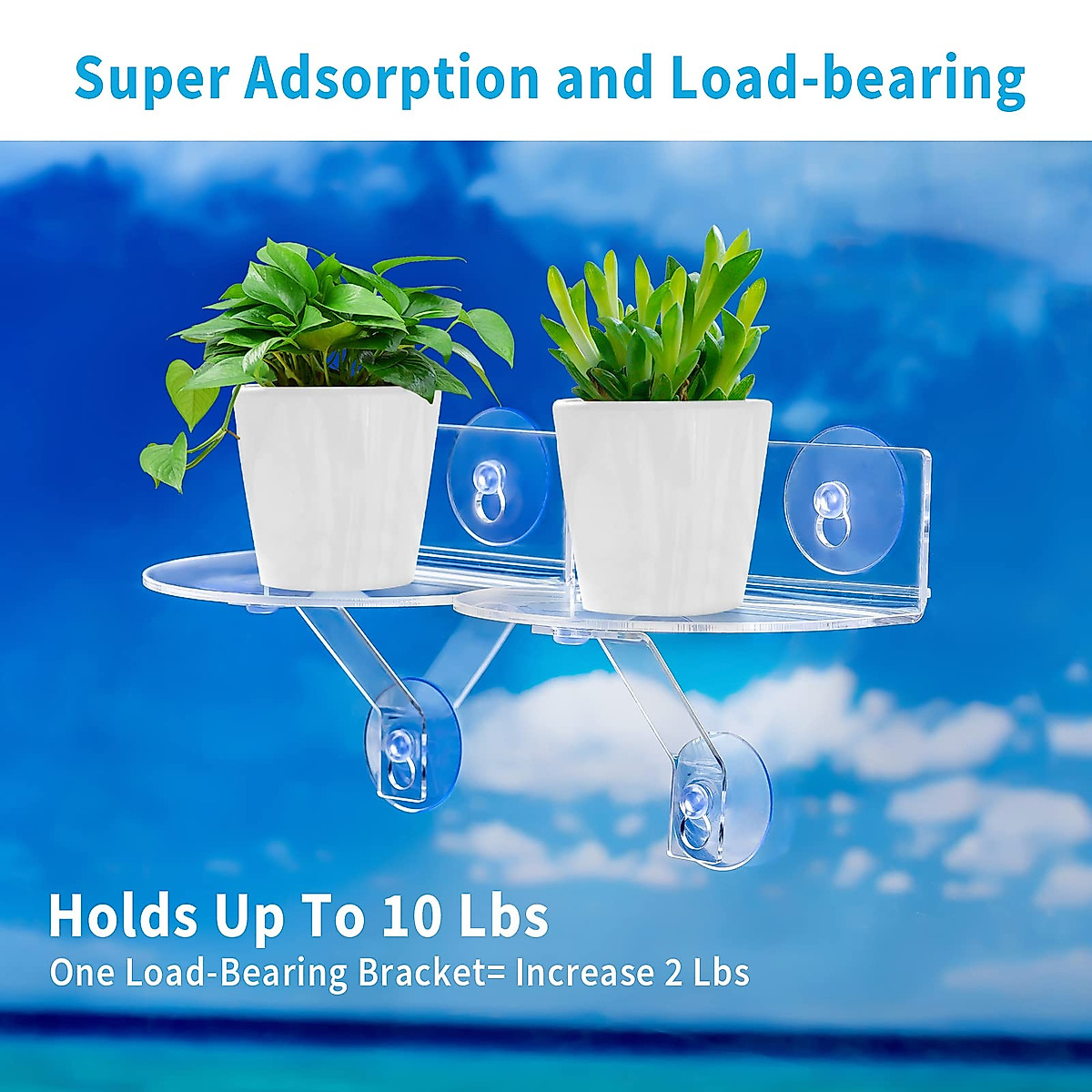 2 Pack Suction Cup Shelf for Plants Window, with Load-Bearing Bracket Window Shelf for Plants Herb Pots, Indoor Plants, Acrylic Window Sill Extender for Plants, Window Plant Shelves (Semicircular)